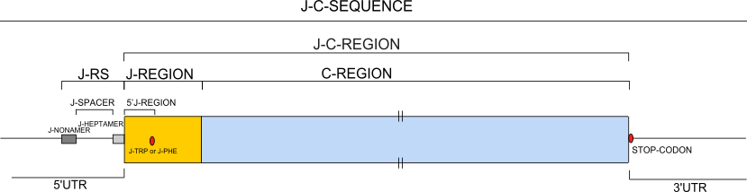 IMGT Scientific chart