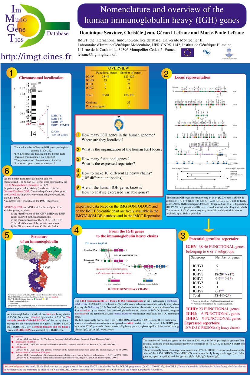 IMGT Posters and diaporama