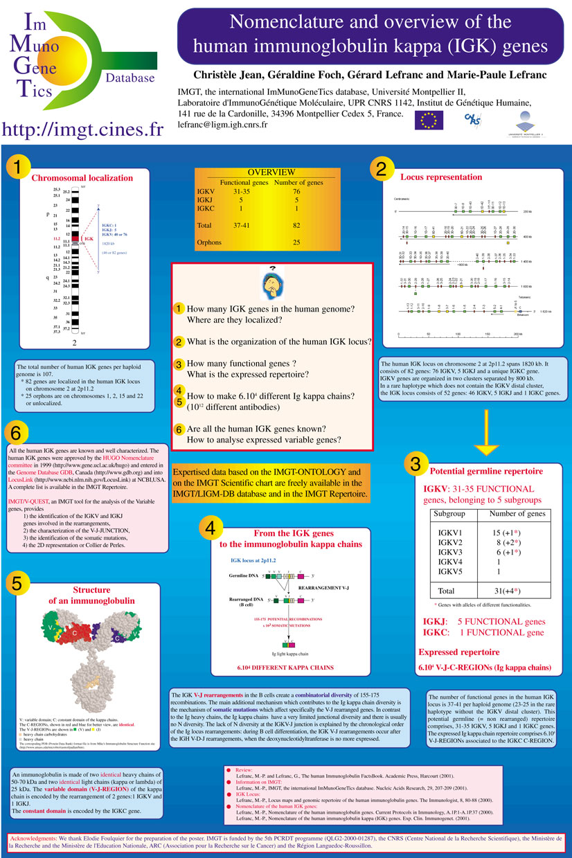 IMGT Posters and diaporama