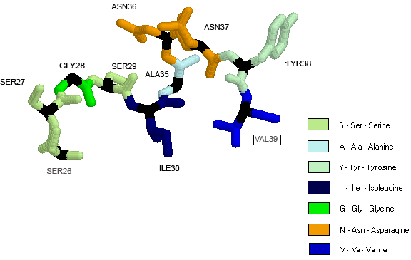 IMGT Web resources: IMGT repertoire